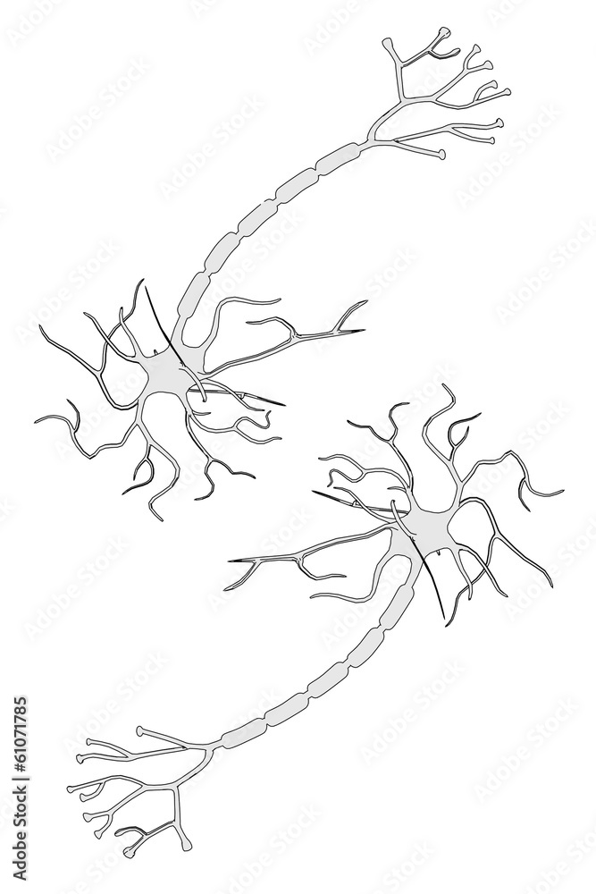 cartoon image of human neuron Stock Illustration | Adobe Stock