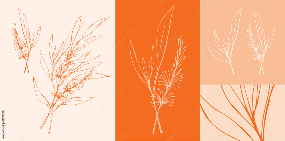 Tea tree Stock Vector | Adobe Stock