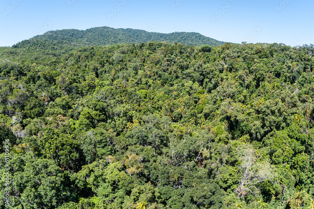 Tropical Jungle Birds Eye View Stock Photo | Adobe Stock
