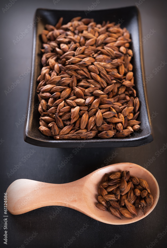 Seeds Senna obtusifolia, Chinese Senna or sicklepod Stock Photo | Adobe ...