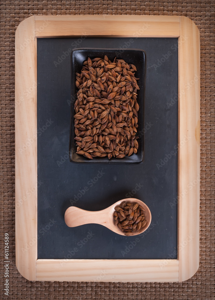 Seeds Senna obtusifolia, Chinese Senna or sicklepod Stock Photo | Adobe ...