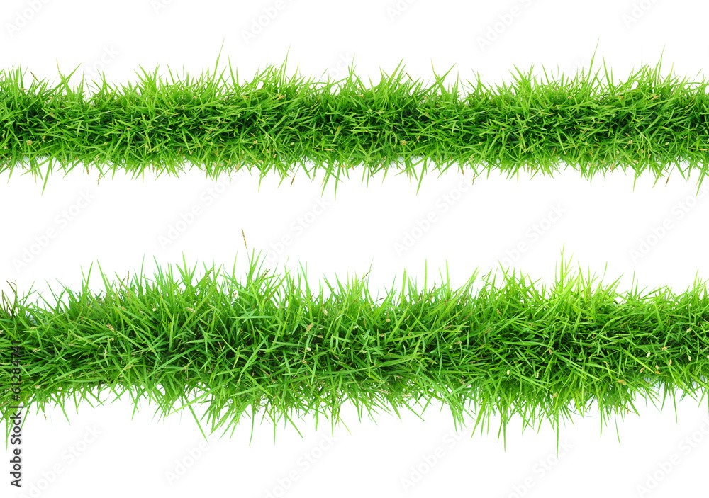 Grass Stock Illustration Adobe Stock