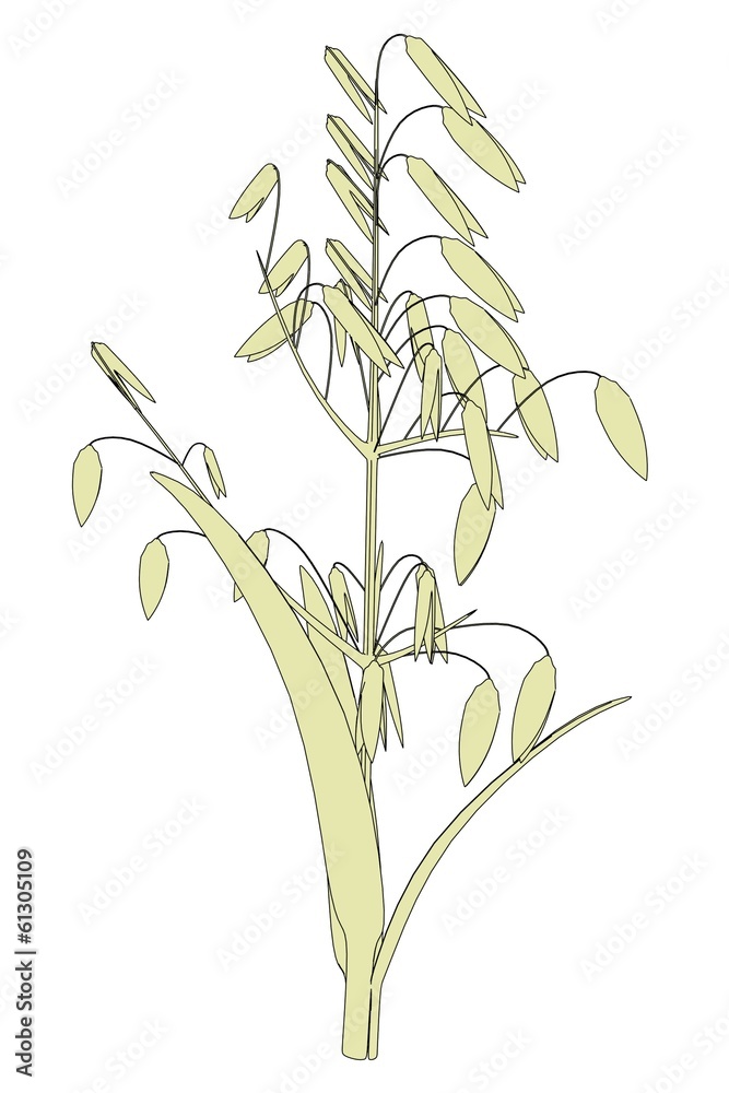 cartoon image of oat plant Stock Illustration | Adobe Stock