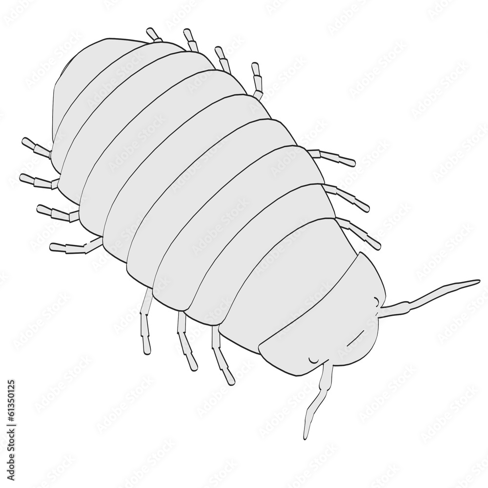 cartoon image of pill bug Stock Illustration | Adobe Stock