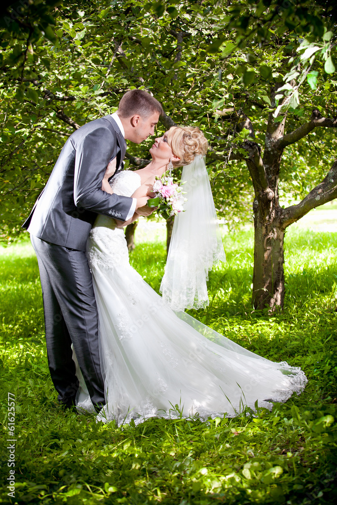 groom bending over bride and kissing her passionately at park Stock ...