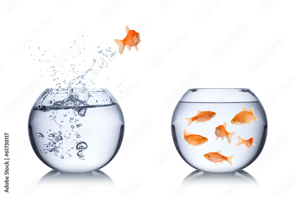 fish escape concept Stock Photo | Adobe Stock