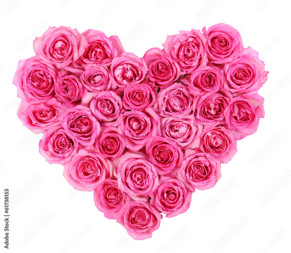 Pink roses in heart shape isolated isolated on white background Stock ...