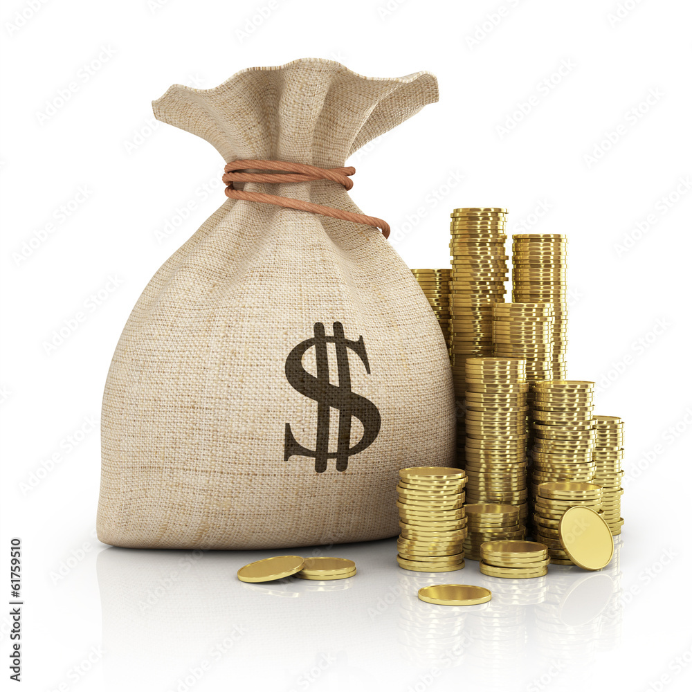 Money coins in bag isolated on white Stock Illustration | Adobe Stock