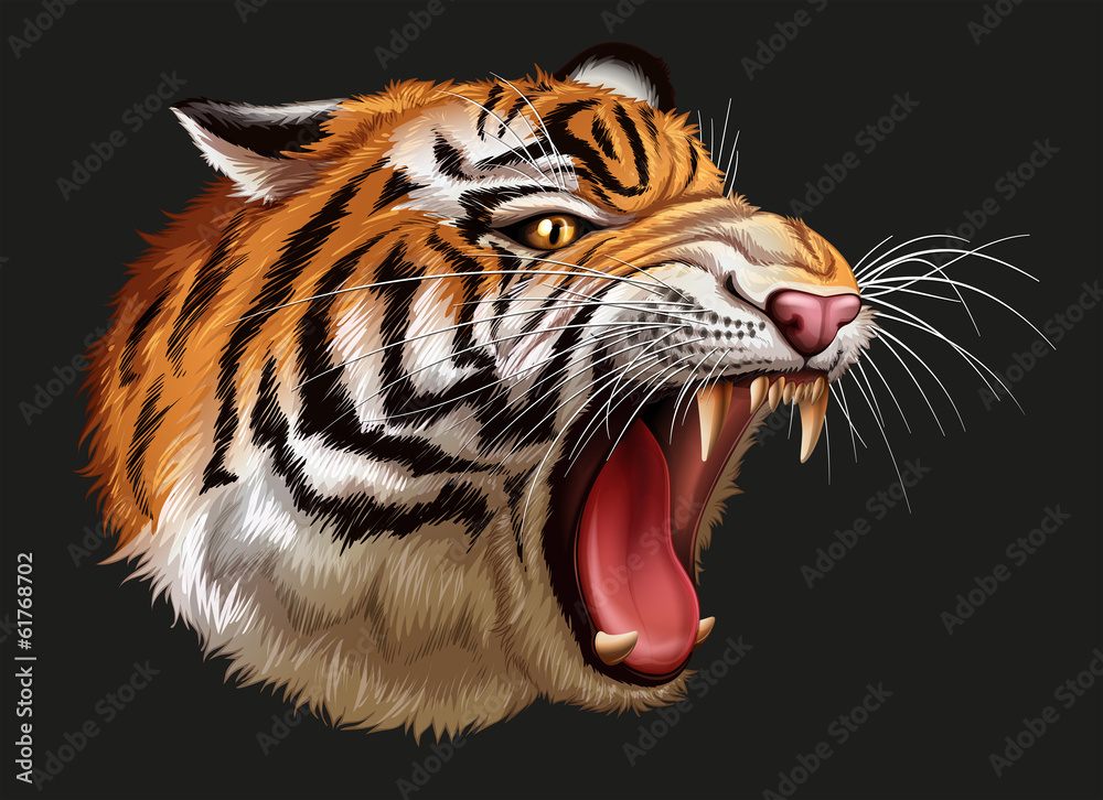 Tiger Head Growling