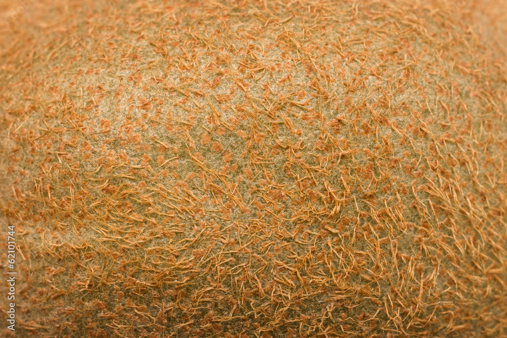 Fruit Skin Texture