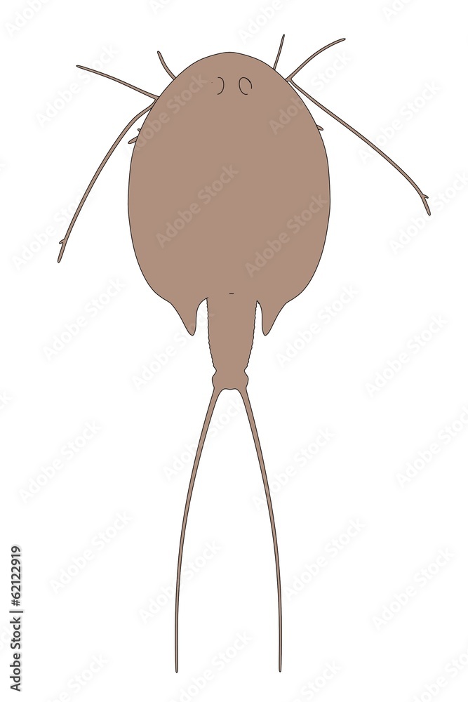 cartoon image of triops -animal Stock Photo | Adobe Stock