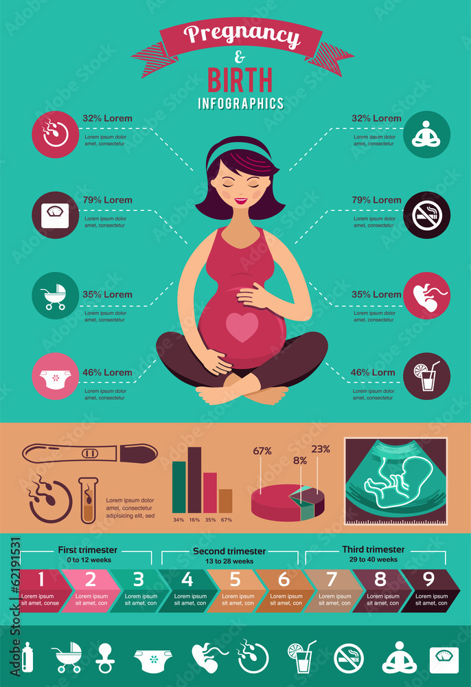 Pregnancy and birth infographics, icon set Stock Vector | Adobe Stock