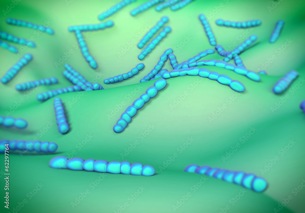 Streptococcus pneumoniae, bacteria artwork Stock Illustration | Adobe Stock