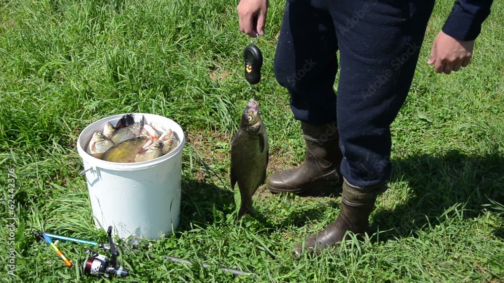 Vidéo Stock fisher took the biggest fish spit in the gills measure ...