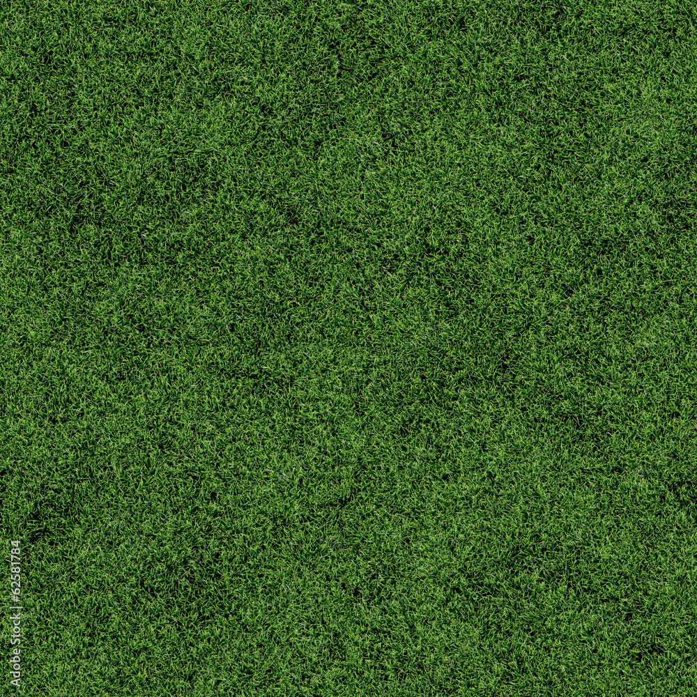 seamless grass texture Stock Photo | Adobe Stock
