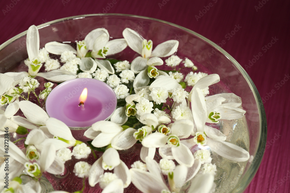 Beautiful snowdrops and candle in glass bowl with water, Stock Photo ...