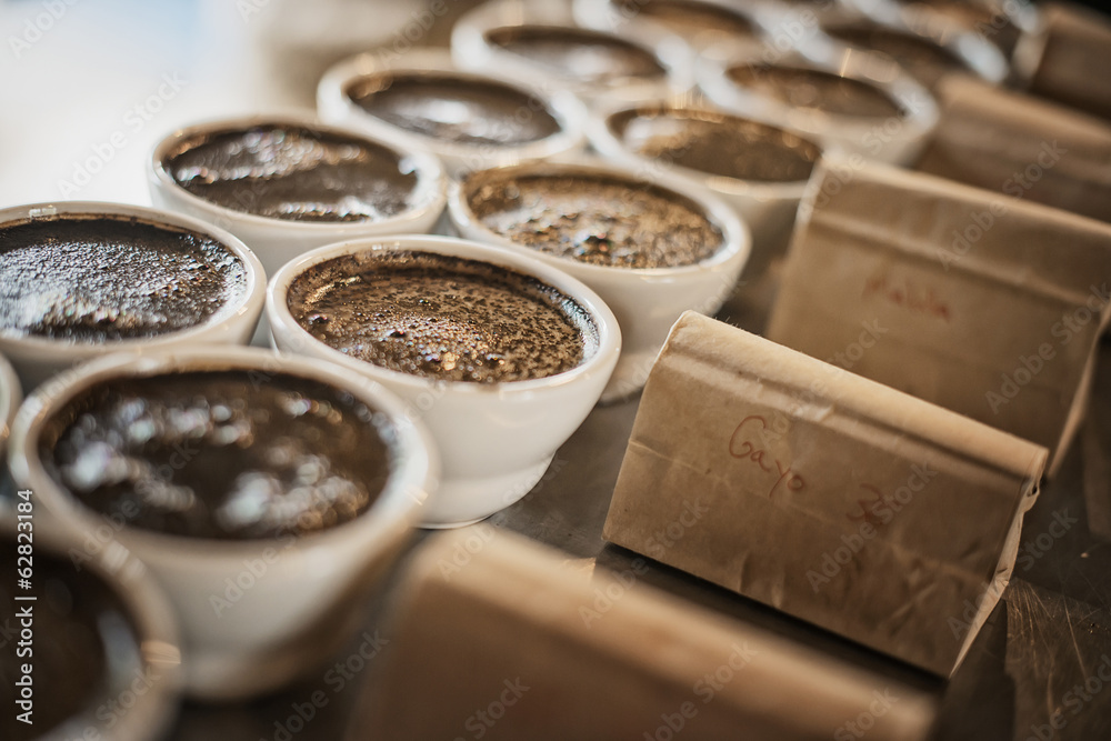 The sampling procedure in a coffee processing shed, where staff make ...