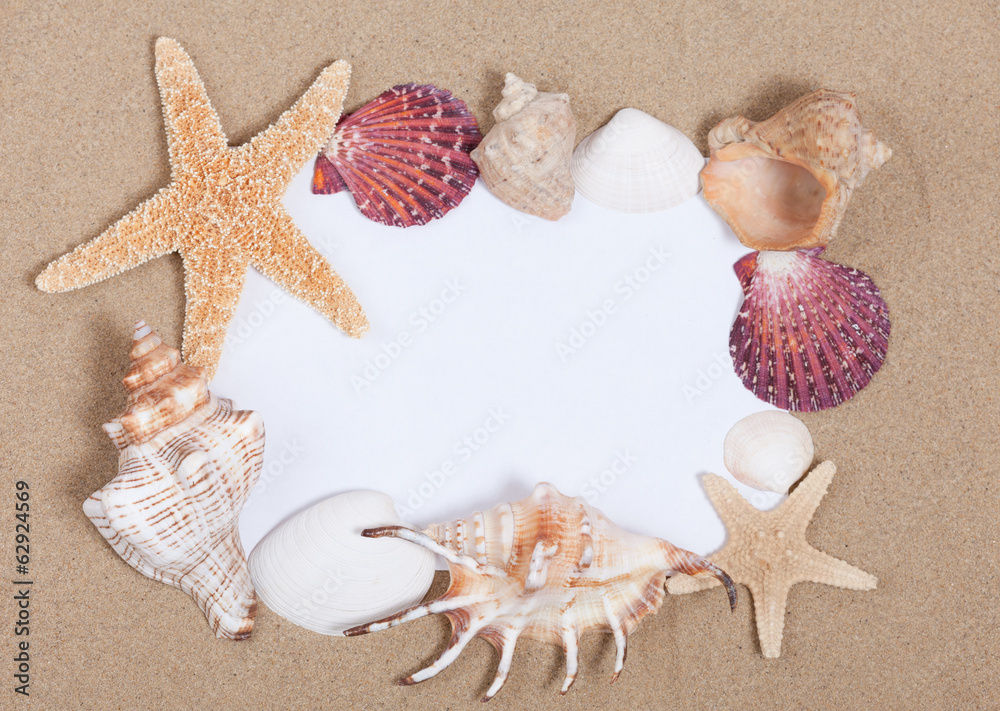 Sheet of paper with a frame from sea shells Stock Photo | Adobe Stock