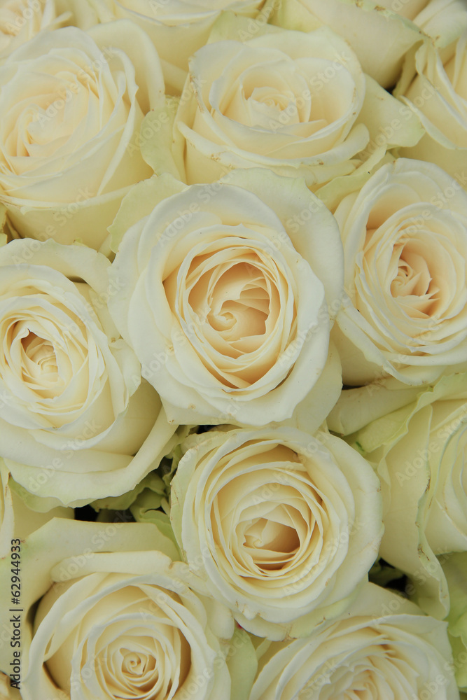 White roses in a wedding arrangement Stock Photo | Adobe Stock