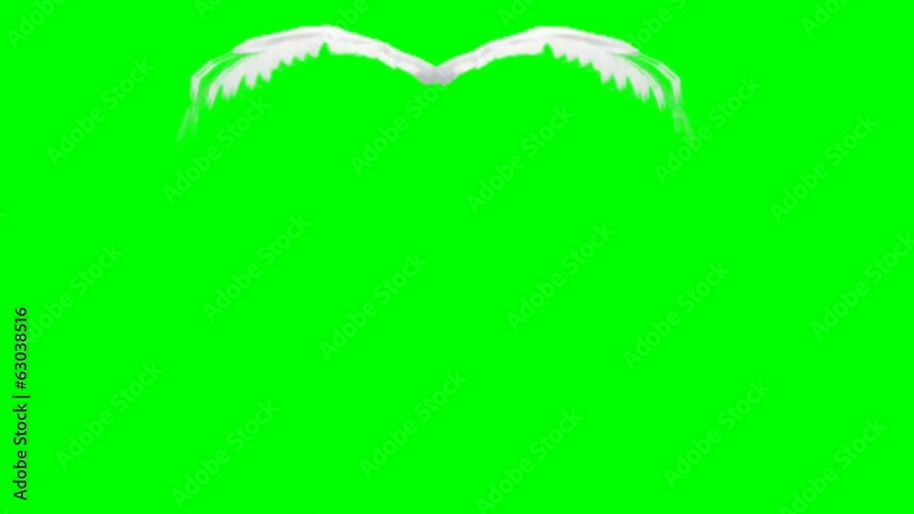 Animated angel wings - green screen Stock Video | Adobe Stock