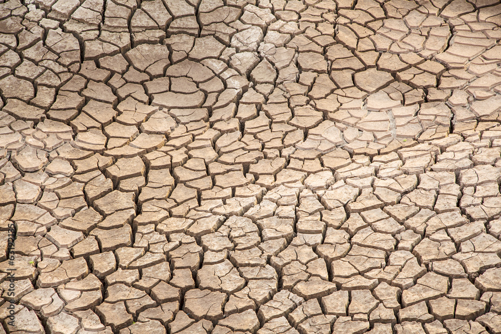 Soil drought landscape. Water crisis, cracks earth near drying water ...