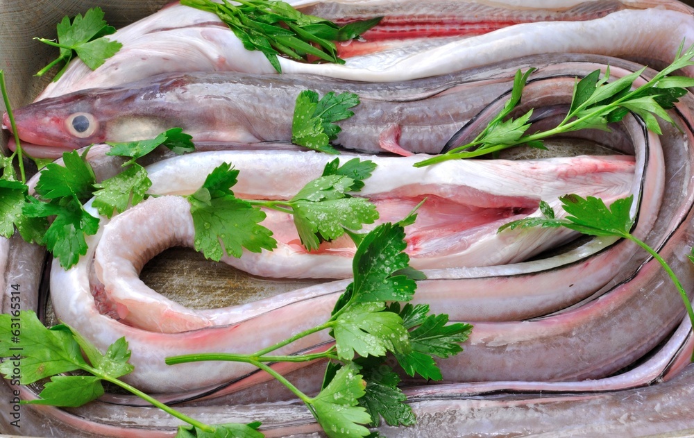 Foto Stock Piatto di pesce. Anguilla | Adobe Stock