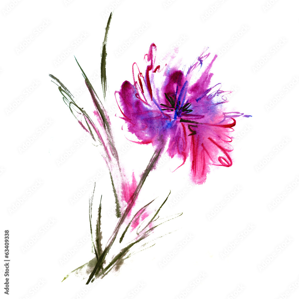 Single flower. Watercolor floral card. Stock-Foto | Adobe Stock