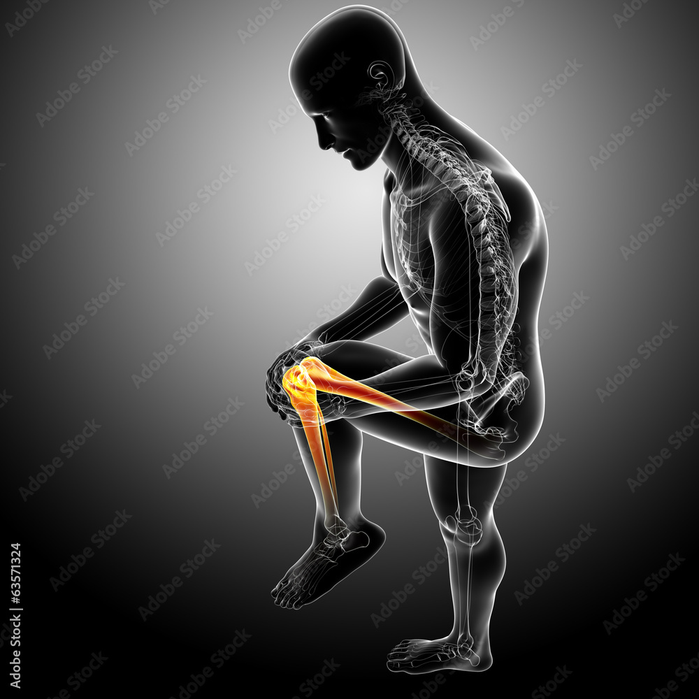 Anatomy of male knee pain in gray Stock Illustration | Adobe Stock