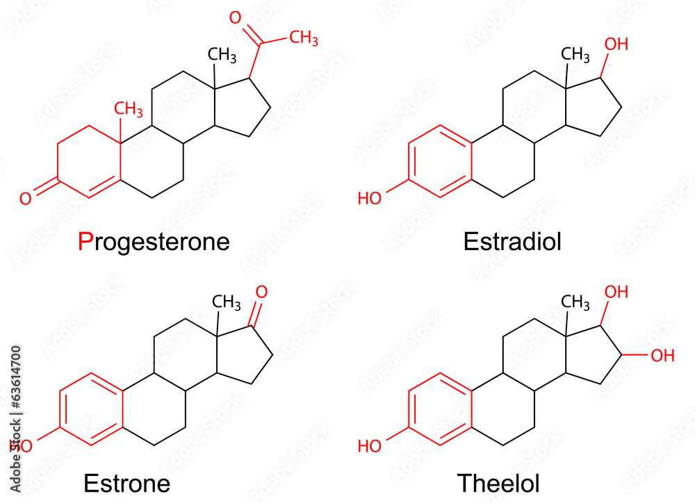 Structural Formulas Of Female Sex Hormones With Marked Fragments Stock Vector Adobe Stock