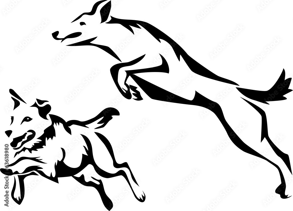 jumping dog Stock Vector | Adobe Stock