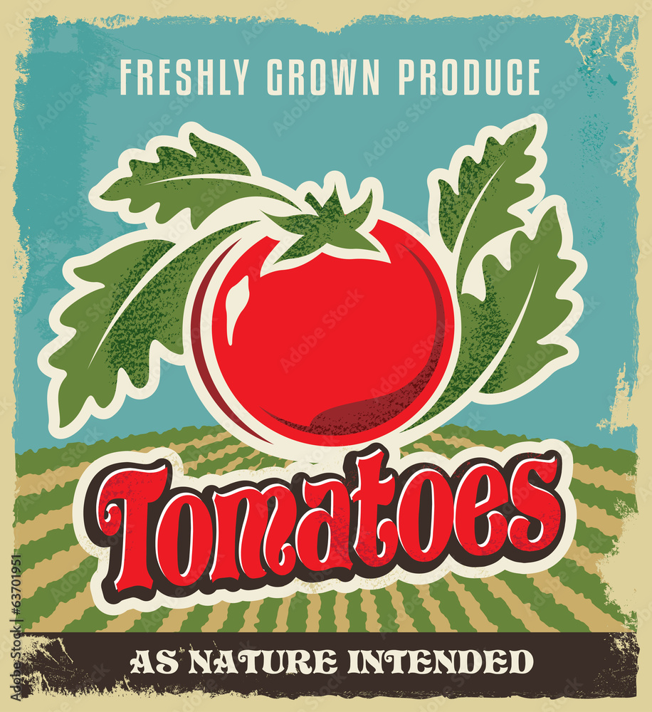Retro tomato vintage advertising poster - sign and label design Stock ...