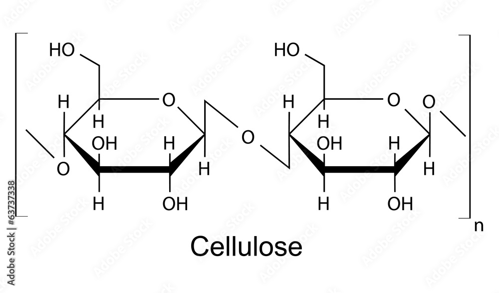 Cellulose Molecule Structure