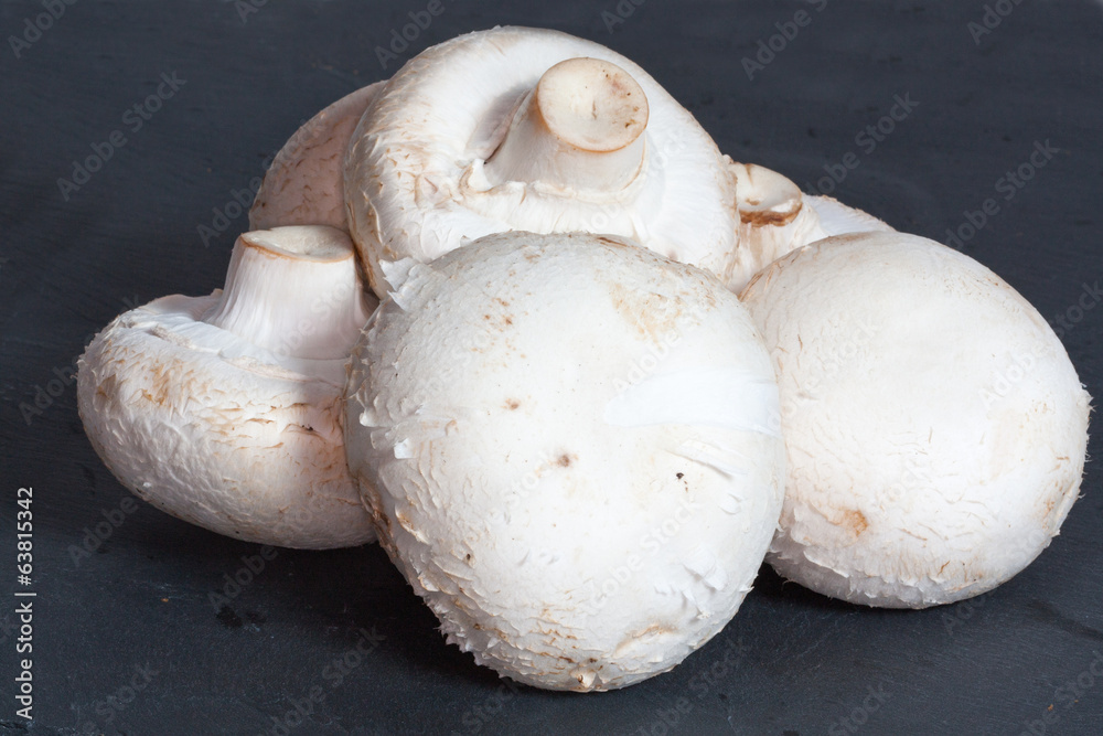 Gros champignons de Paris - Agaricus bisporus - sur ardoise Stock Photo ...