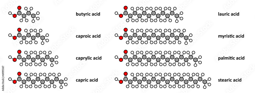 Capric Acid Structure