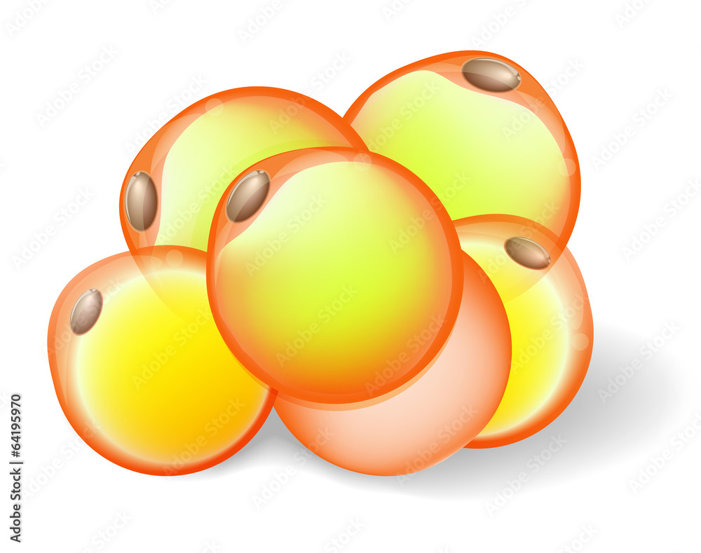 fat cells Stock Vector | Adobe Stock