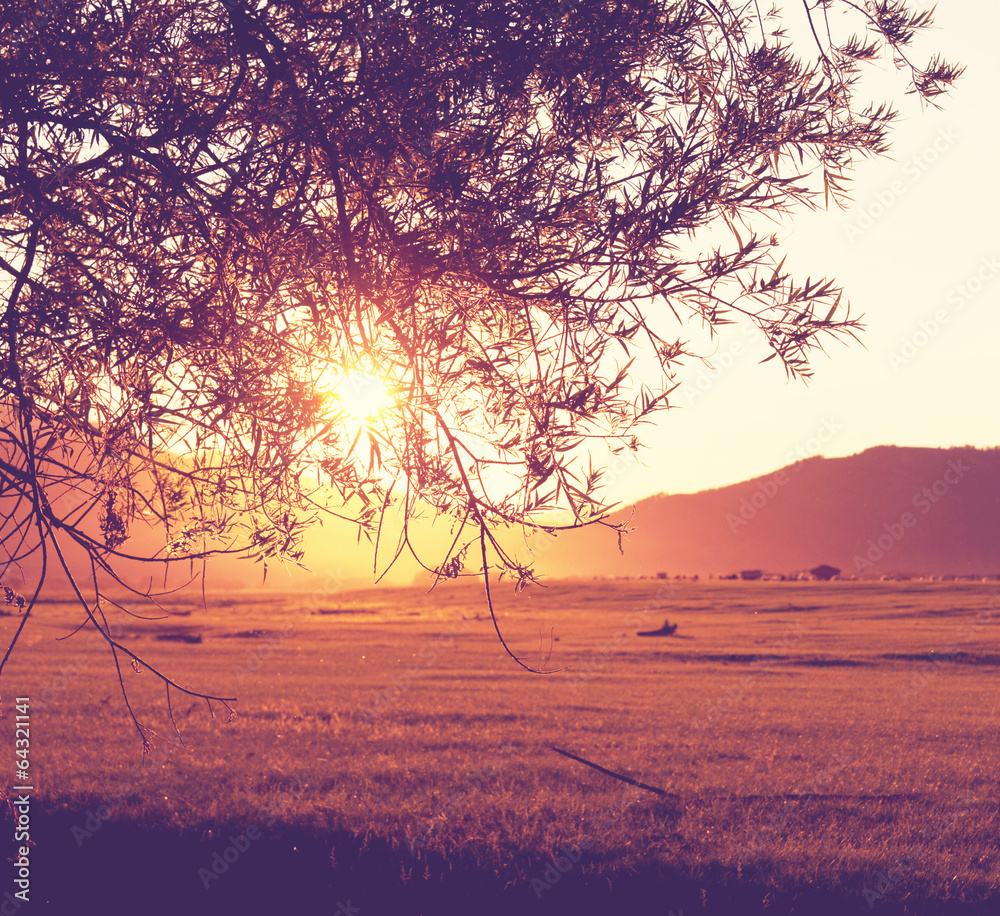 Sunset on grassland Stock Photo | Adobe Stock