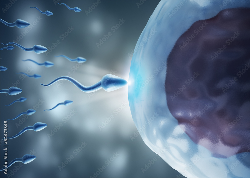 fecundation or spermatozoons floating to ovule Stock Illustration ...