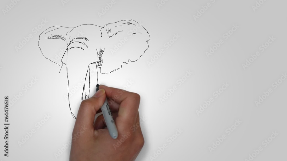 Elefant Zoo Afrika Zeichnung zeichnen Handzeichnung Stock Video | Adobe ...