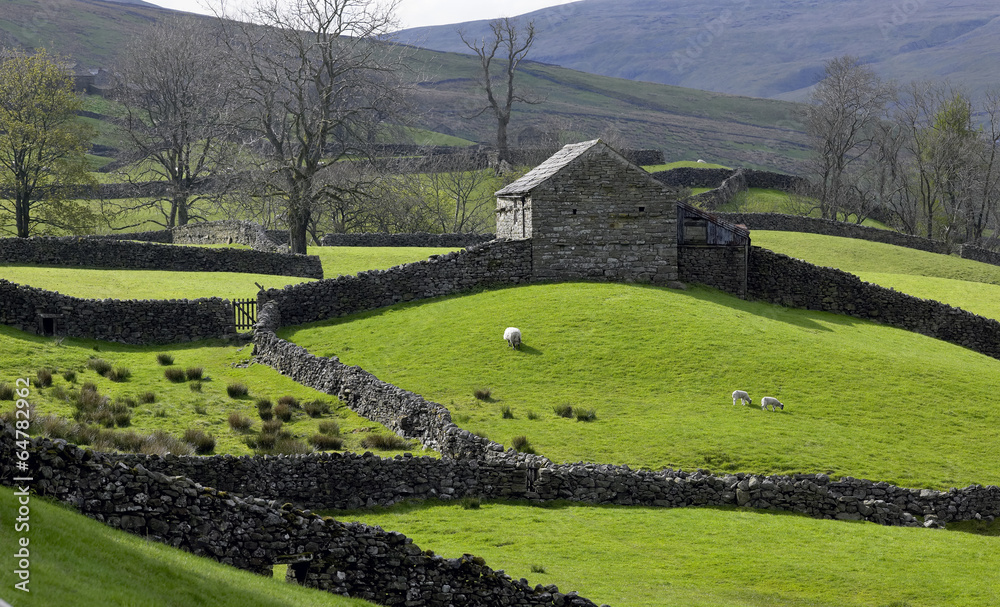 Old barn and dry stone walls of a hill farm in North Yorkshire - Stock ...