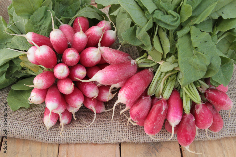 radis Stock Photo | Adobe Stock