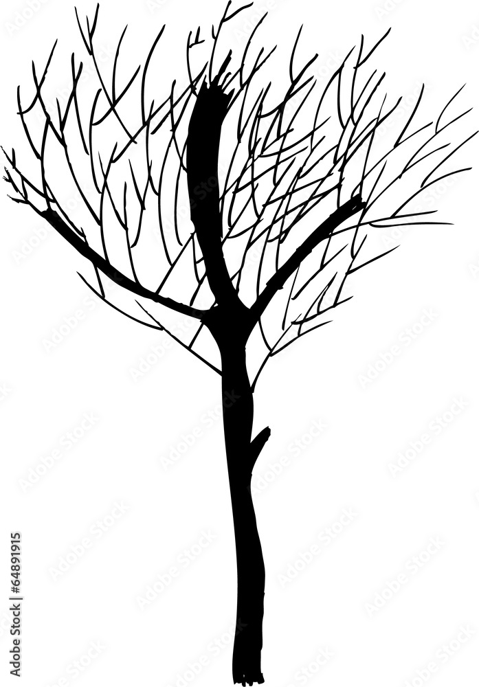 hand draw sketch, dead tree Stock Illustration | Adobe Stock