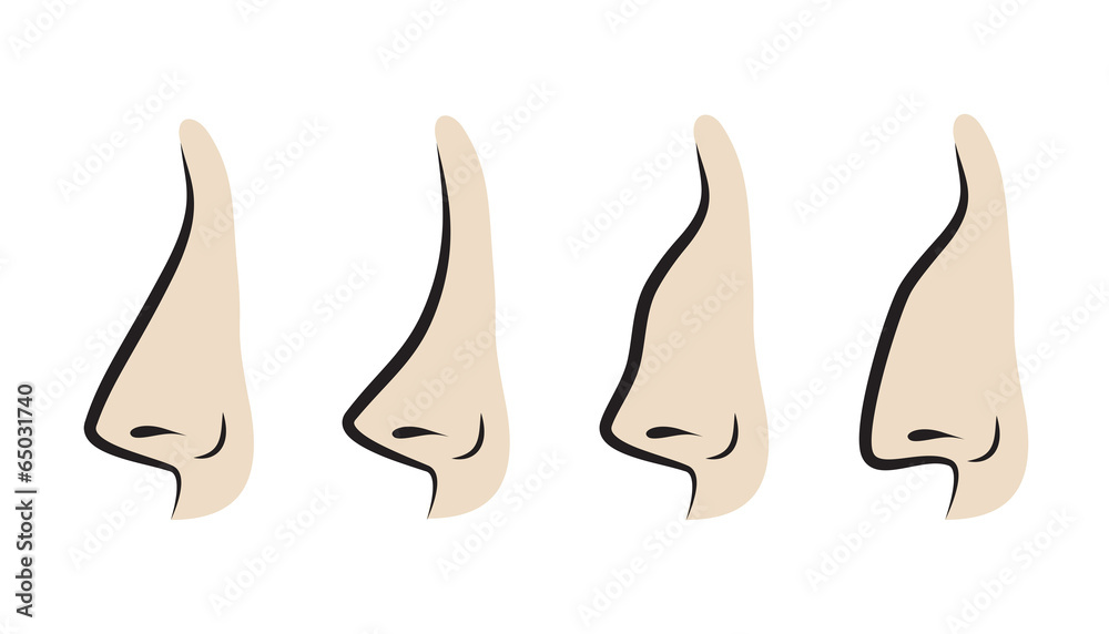 Vector illustration of noses Stock Vector | Adobe Stock
