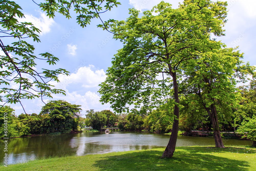 Park Stock Photo | Adobe Stock