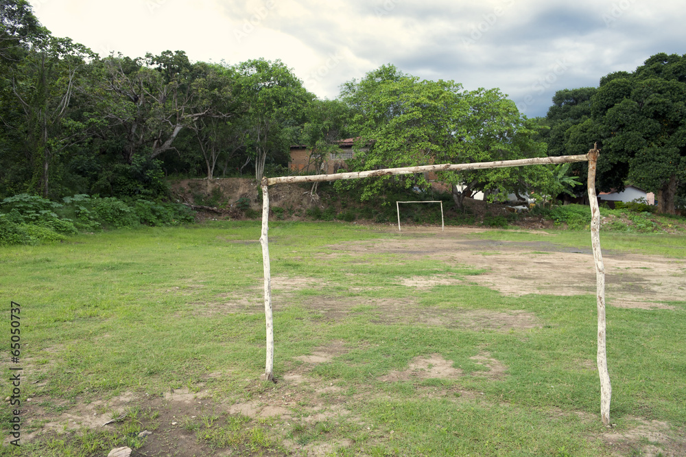 Tropical Brazilian Football Pitch with Palm Trees Stock Photo | Adobe Stock