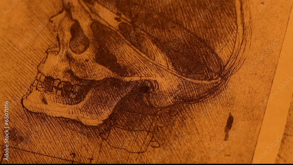 14th century anatomy art by Leonardo Da Vinci Stock-Video | Adobe Stock