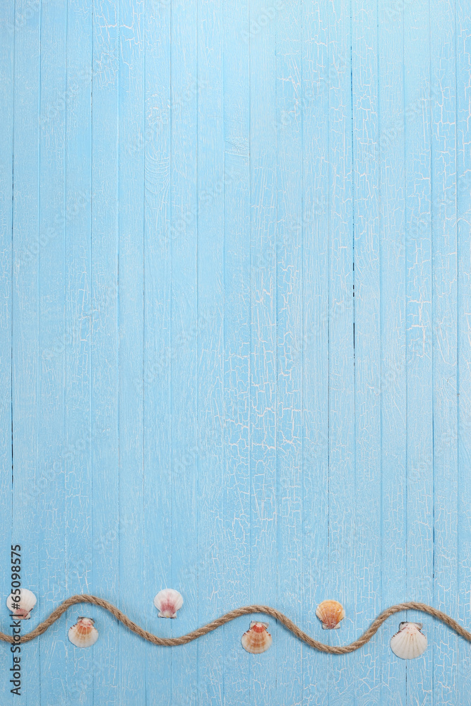 shells rope on blue background Stock Photo | Adobe Stock
