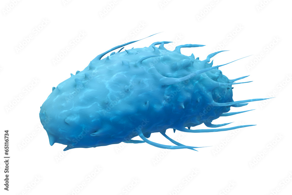 Proteus Bakterie - isoliert - 3d Render Stock-Illustration | Adobe Stock