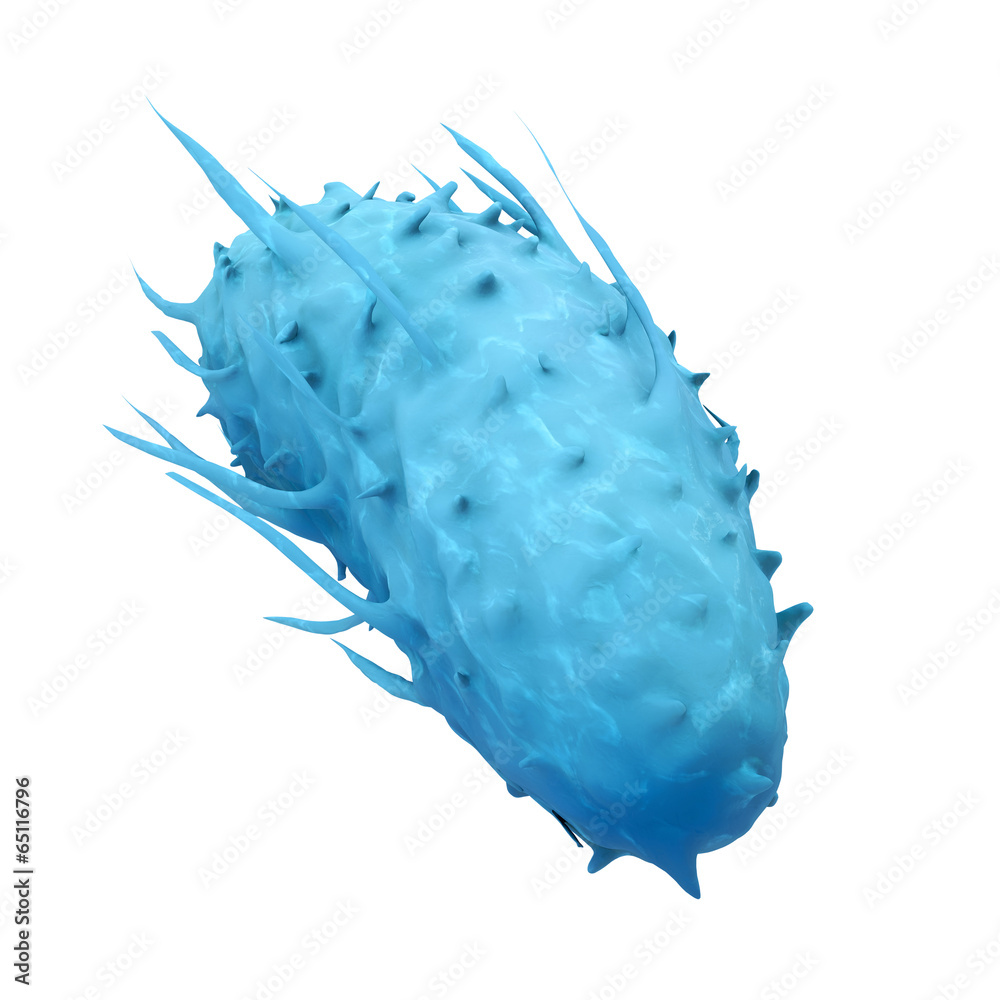 Proteus Bakterie - isoliert - 3d Render Stock Illustration | Adobe Stock