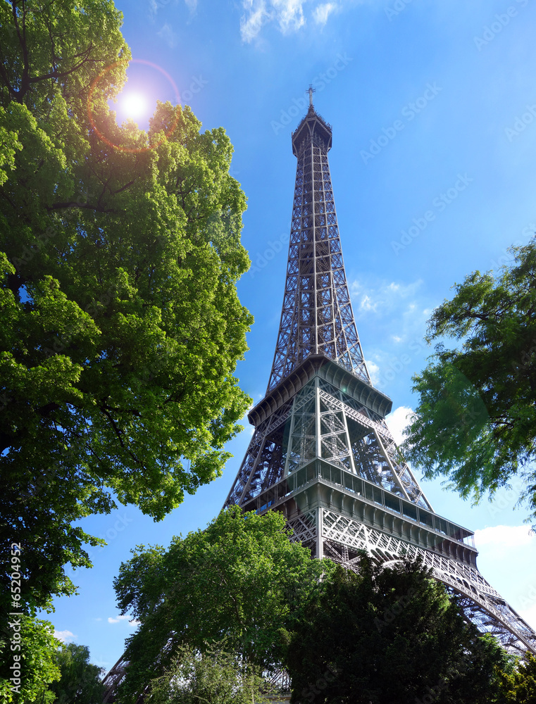 Paysage parisien avec la Tour Eiffel en fond Stock Photo | Adobe Stock