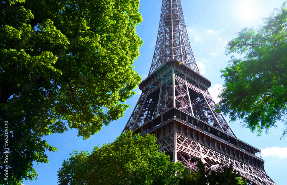 Paysage parisien avec la Tour Eiffel en fond Stock Photo | Adobe Stock